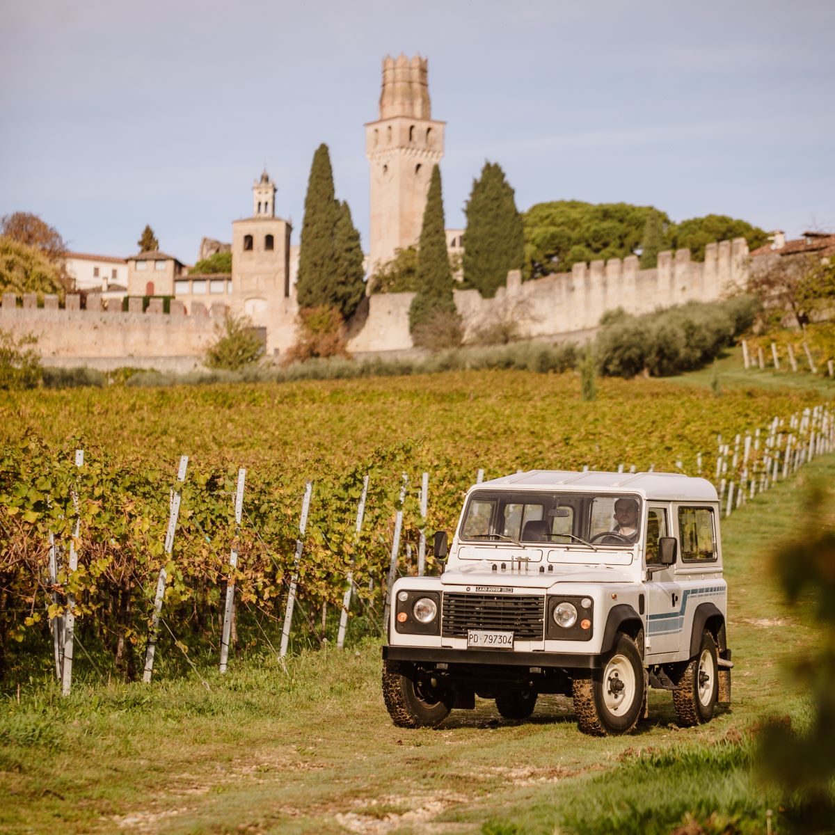 Visite, Tour e Degustazioni Guidate nelle Cantine del Prosecco DOCG ...